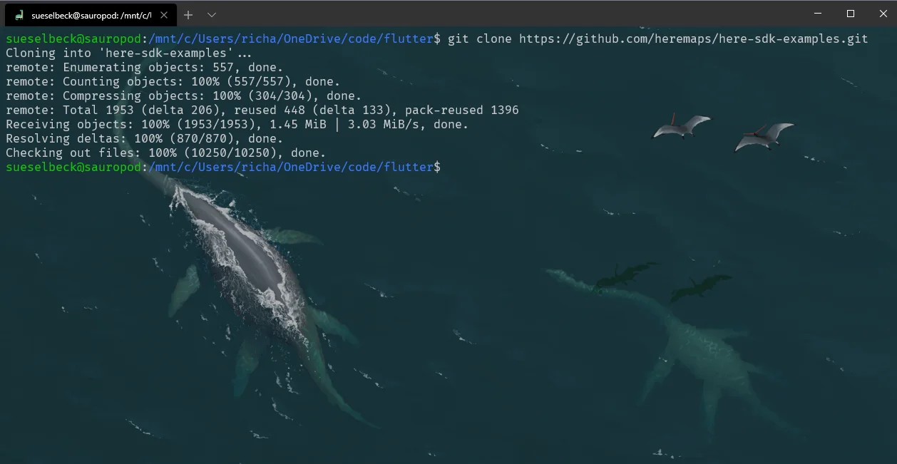 Create a Flutter Map Application in Under 5 Minutes
